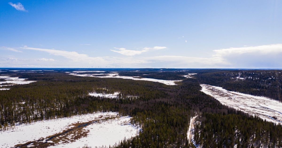 Kingsrose | Porsanger and Penikat - Kingsrose Video Update July 2022